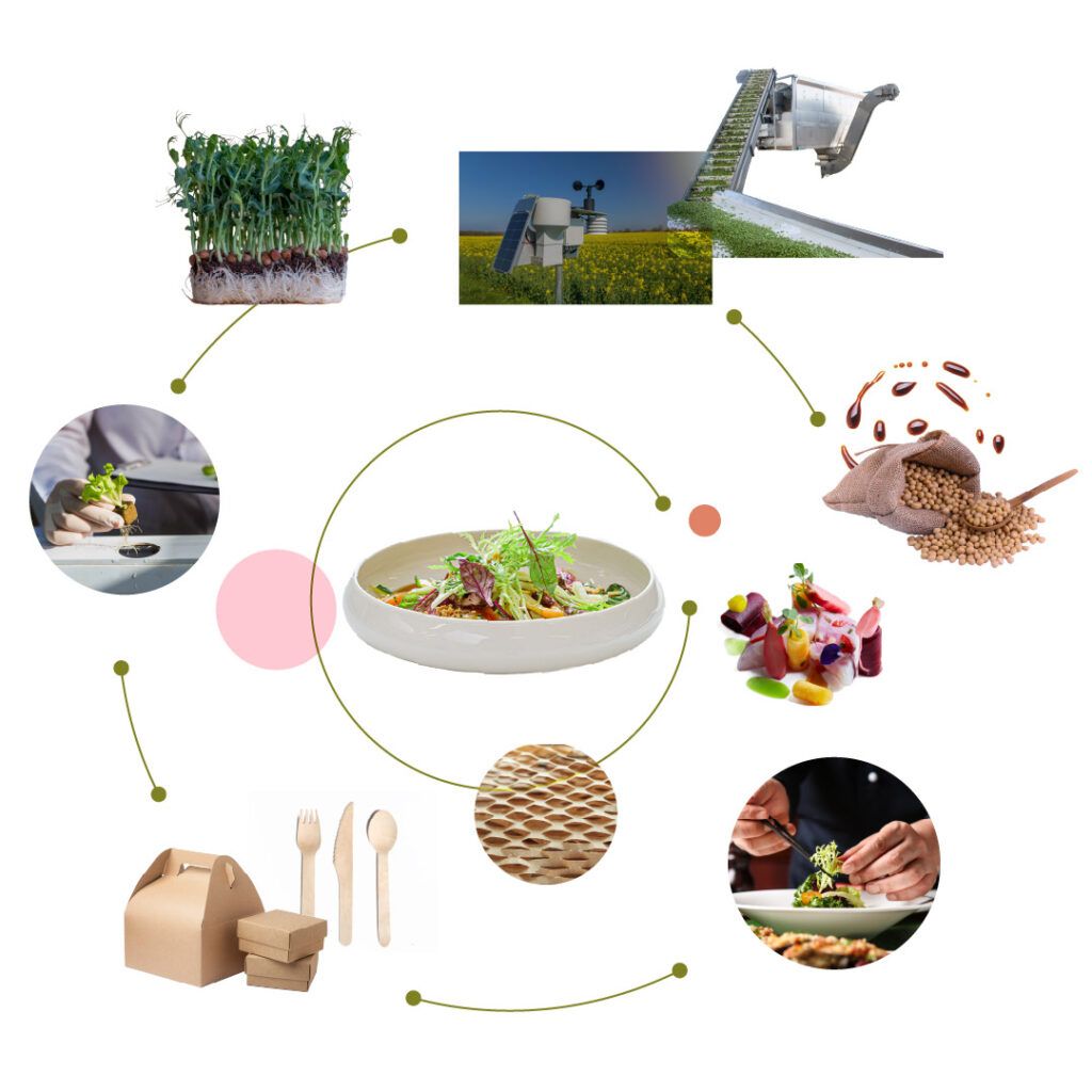 POLI.design Master • POLI.design