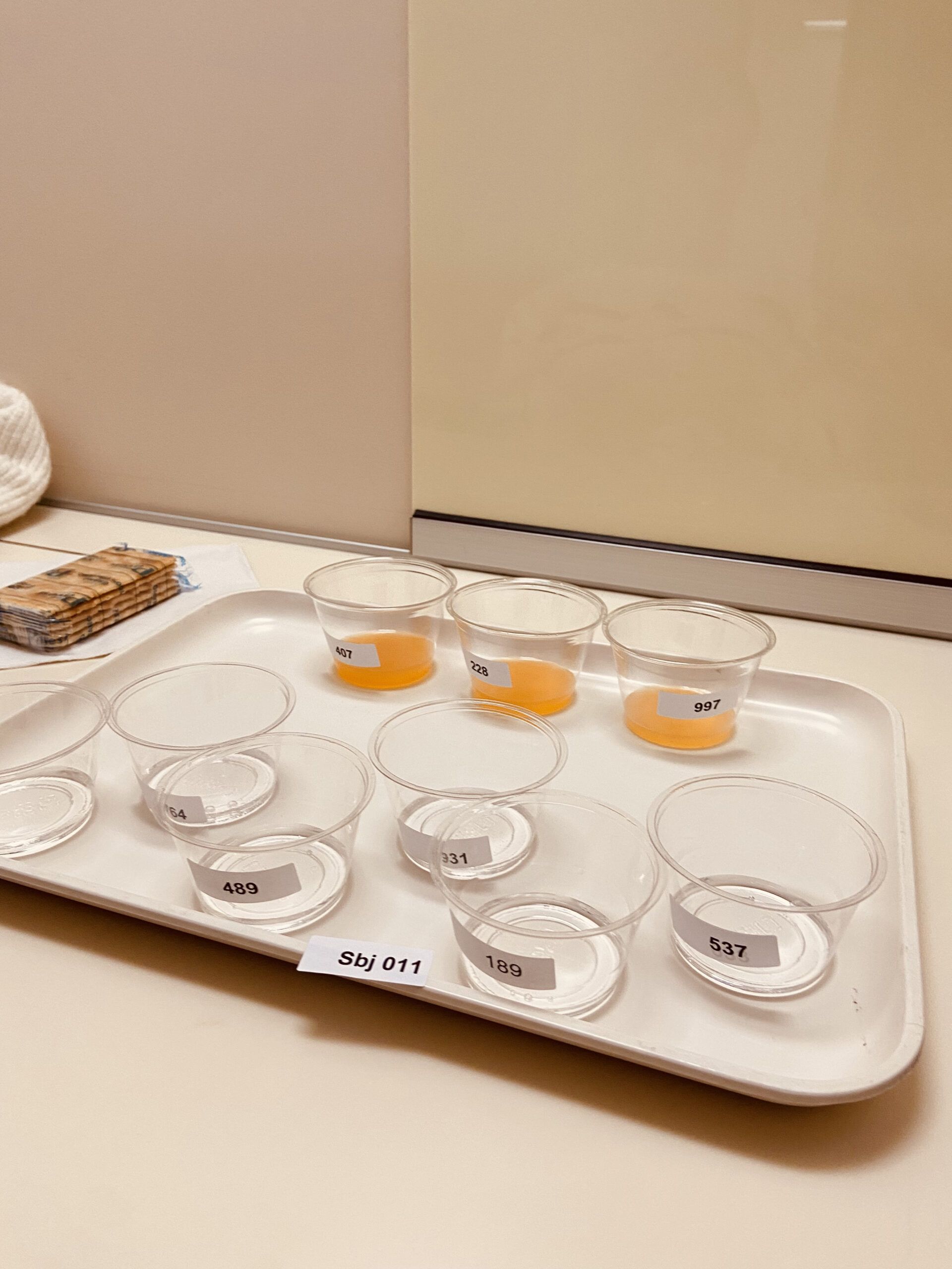 Specializing Master in Design for Food | POLI.design